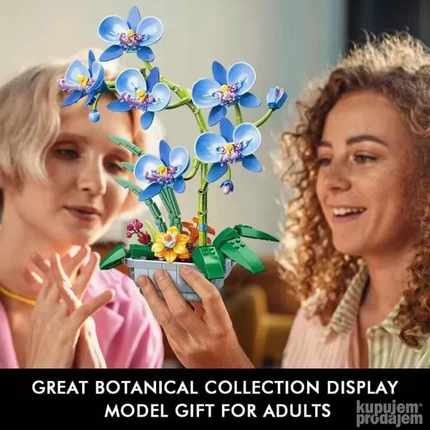set orhideja plava sa saksijom 584 dela - KupujemProdajem