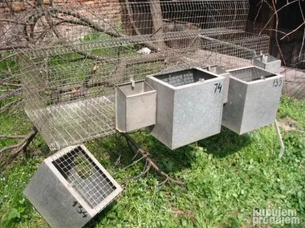 Kavezi sa hranilicama i kotilicama za kunice, zeceve - KupujemProdajem