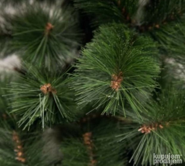 Jelka - Novogodisnja jelka drvo borove iglice Nova Godina - KupujemProdajem
