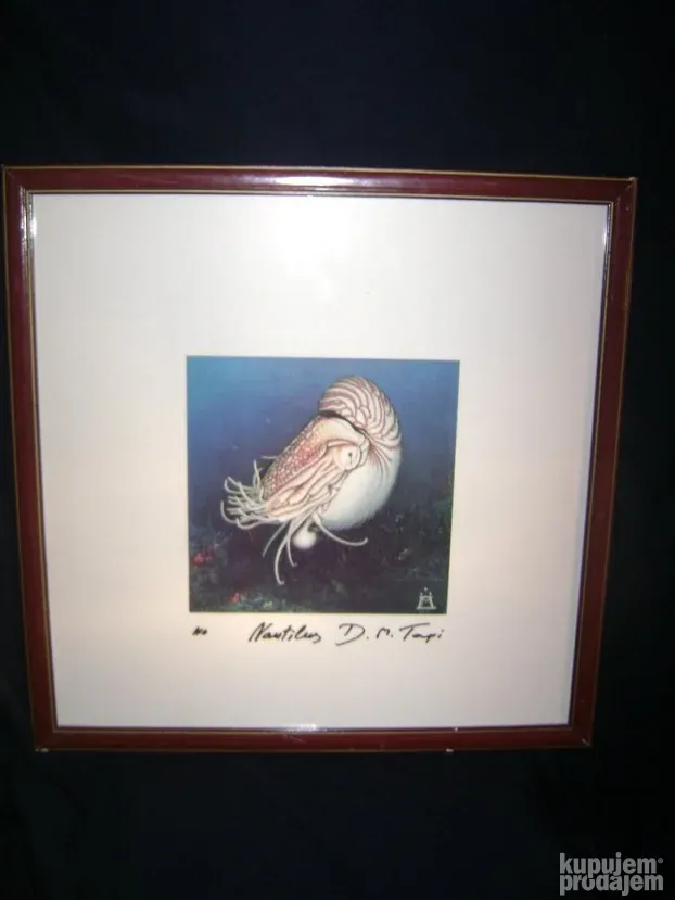 Dragan Malesevic Tapi Nautilus - KupujemProdajem
