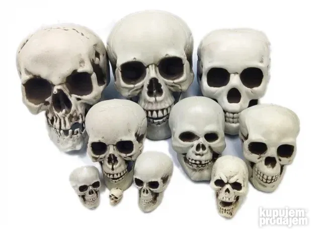 Lobanja Kostur Skull Dekoracija Noć Veštica Halloween M1 - KupujemProdajem