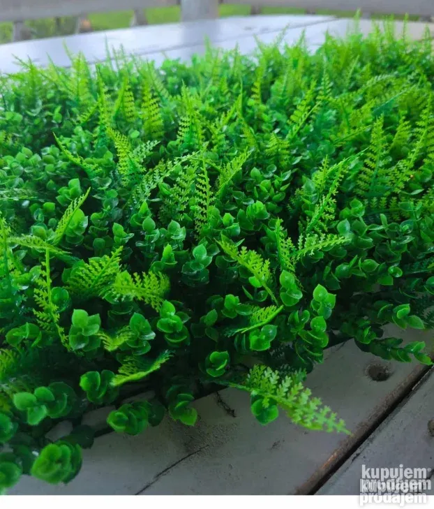 Vestacko zelenilo Paneli 60x40cm vestacki zeleni zid - KupujemProdajem