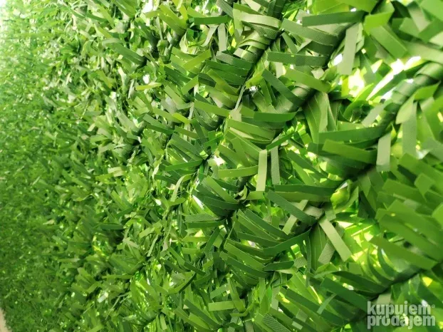 Ograda vestacka trava - ziva ograda - KupujemProdajem