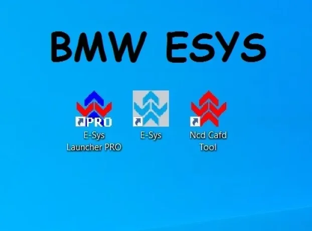BMW ESYS program za Kodiranje Flešovanje Retrofit - KupujemProdajem