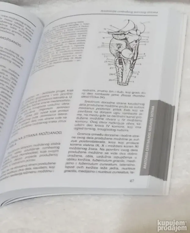 Anatomija čoveka 2, Anatomija glave i vrata ; Anatomija CNS ...