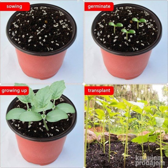 Saksije za rasad Fi 9 10 11 12 13 15 17 19 22 - KupujemProdajem