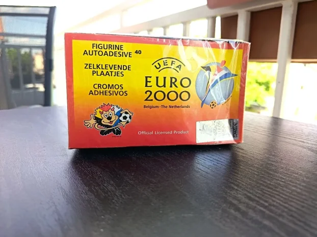 Euro 2000 Kutija od 100 Kesica Panini - KupujemProdajem