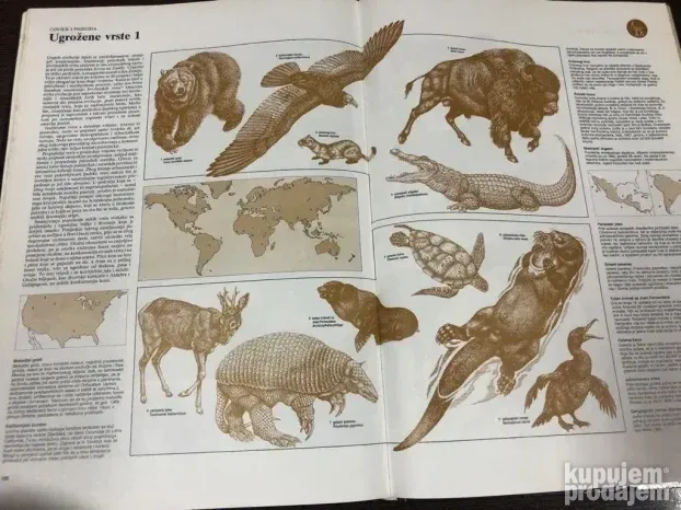 Veliki atlas životinja MLADINSKA KNJIGA - KupujemProdajem