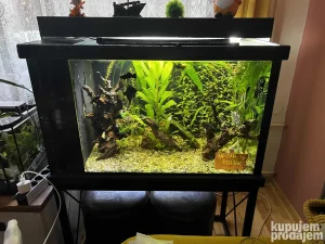 Akvarijumi - KupujemProdajem