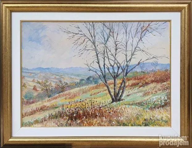 Zivan Vulic - KupujemProdajem