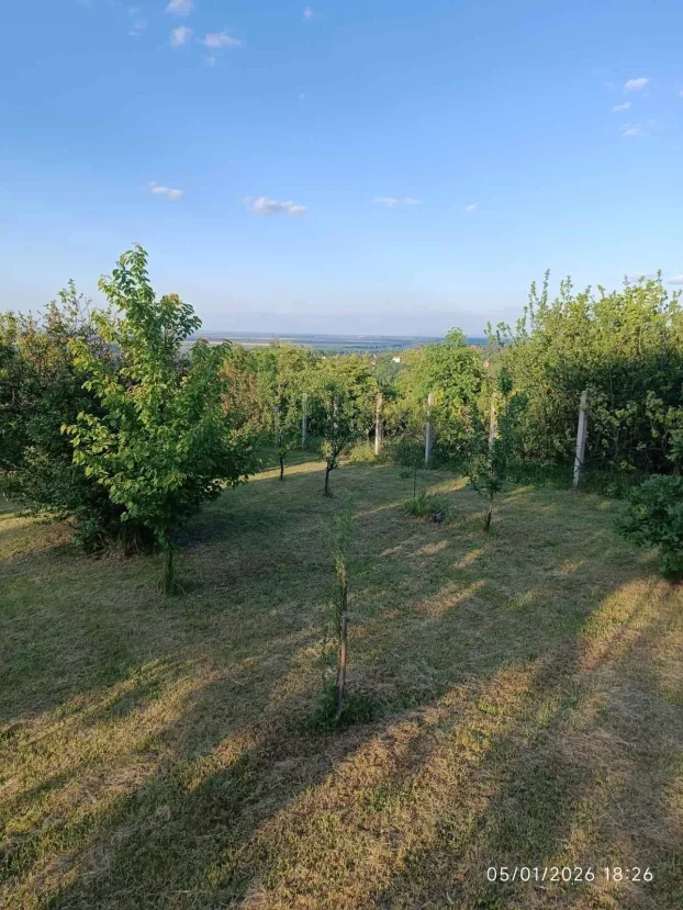 vikend naselje, Grocka, Beograd - KupujemProdajem