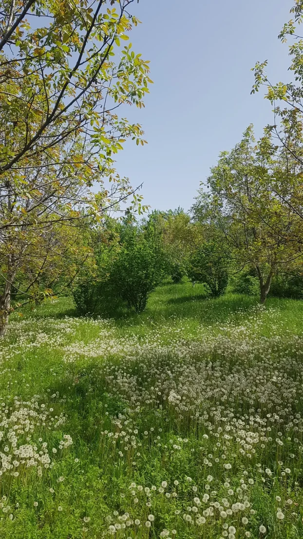 Plac i zemljište na prodaju - plac Fruška gora - KupujemProdajem