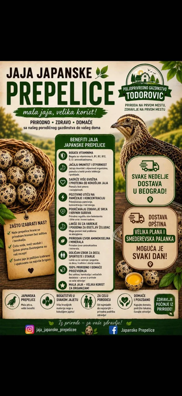 Organska Jaja Japanske Prepelice - KupujemProdajem