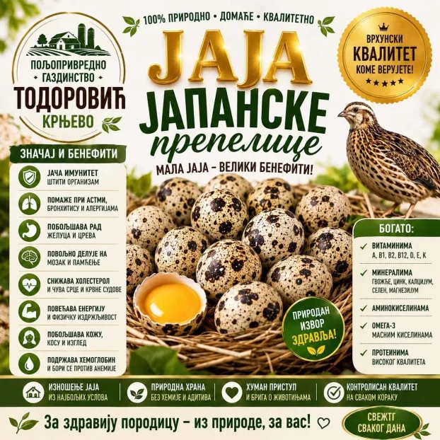 Organska Jaja Japanske Prepelice - KupujemProdajem