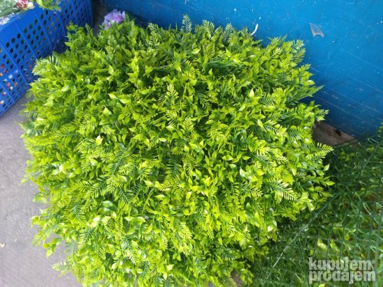 Cvece biljke zbunje vestacko - KupujemProdajem