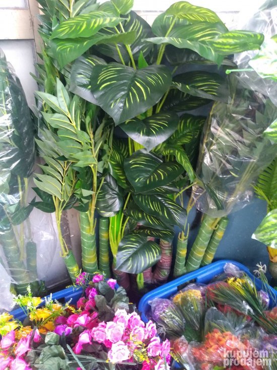 Cvece biljke zbunje vestacko - KupujemProdajem