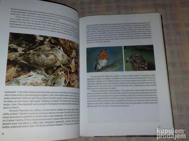 Ptice Monografija-Gnjurac,Bukavac,Beloglavi sup, - KupujemProdajem