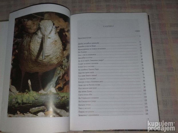 Ptice Monografija-Gnjurac,Bukavac,Beloglavi sup, - KupujemProdajem