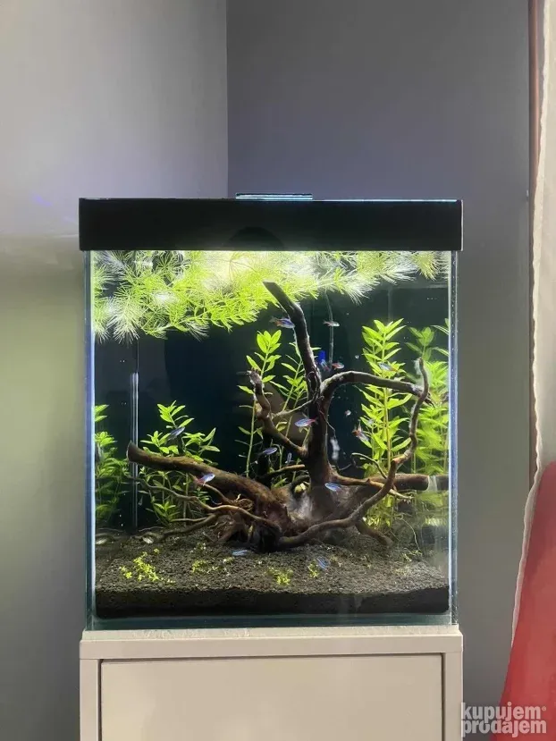 Nano akvarijum - KupujemProdajem