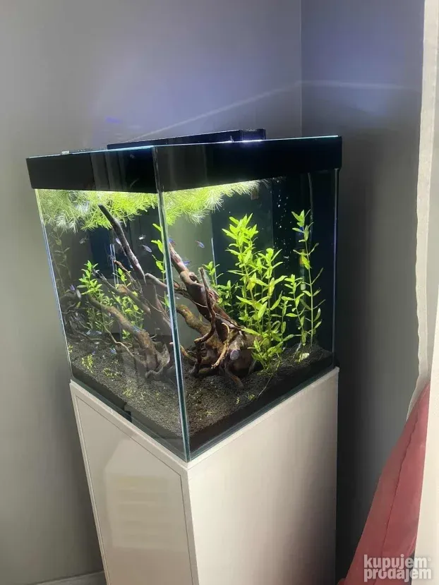 Nano akvarijum - KupujemProdajem