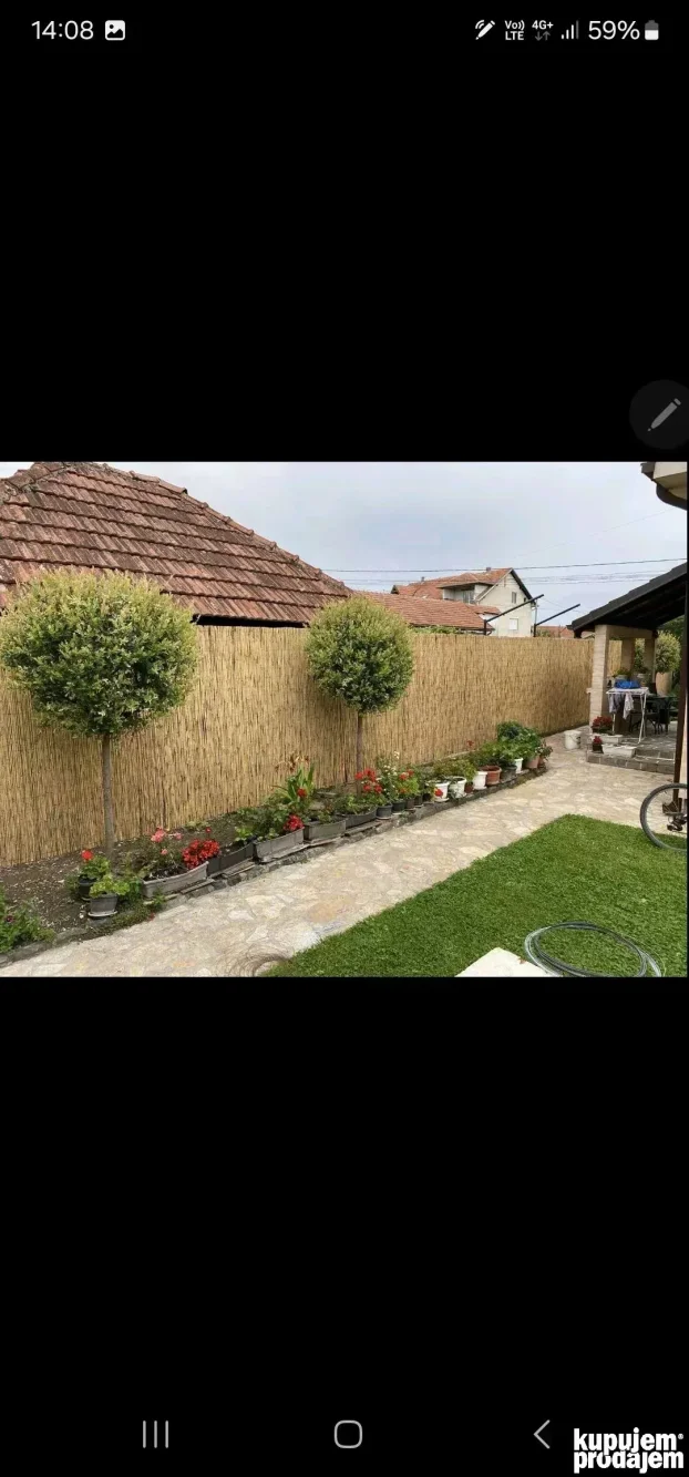 Trska za ogradu-terasu-vikendicu- 1.6m x 5m - KupujemProdajem