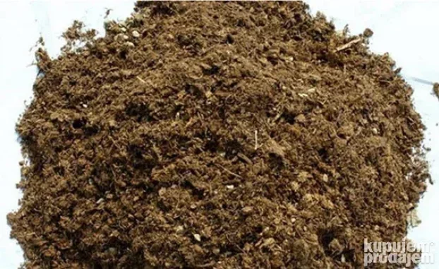 Spagnum treset - KupujemProdajem