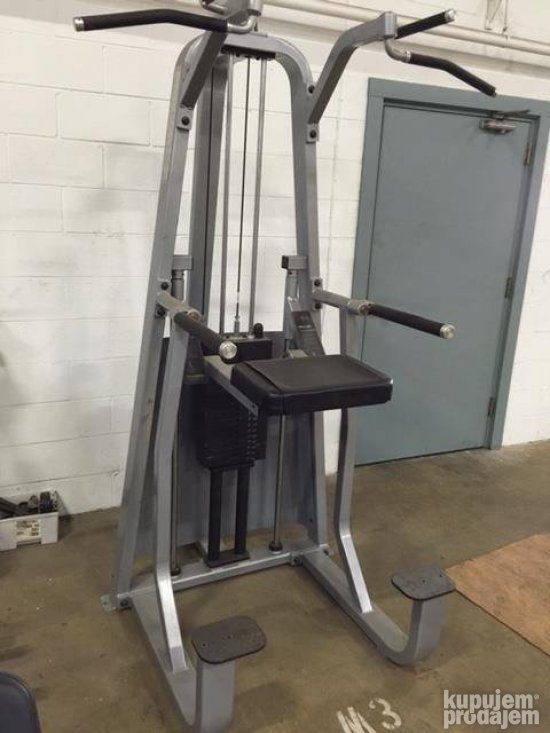 Precor Icarian Chin/Dip Assist - KupujemProdajem