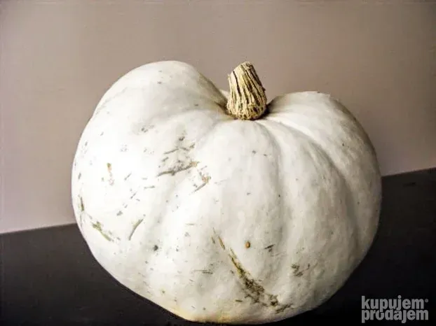 Bela bundeva seme - KupujemProdajem