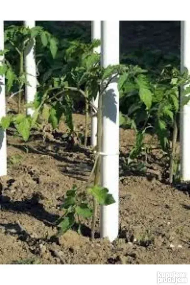 PVC kočići za paradajz 1.8m (28mm) - pritka 10.kom - KupujemProdajem