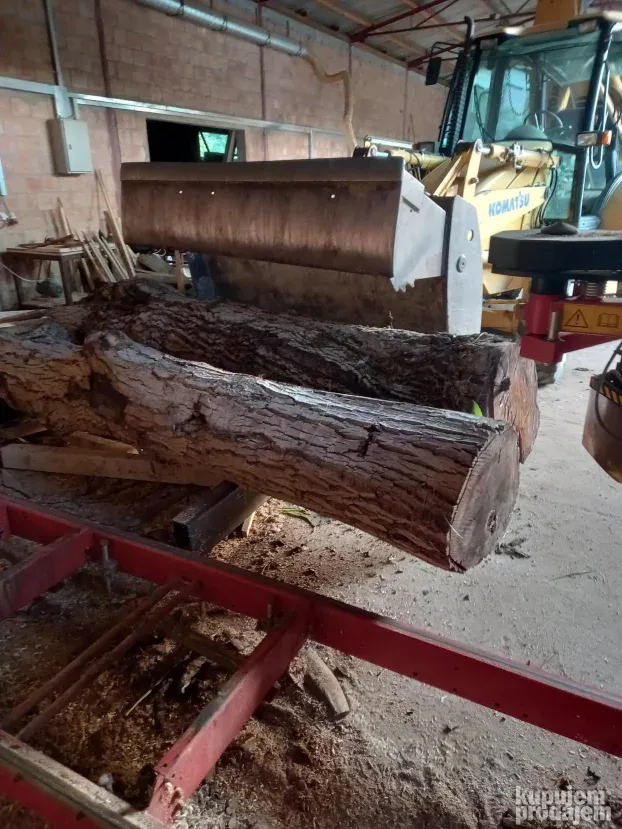 Orahove daske - KupujemProdajem