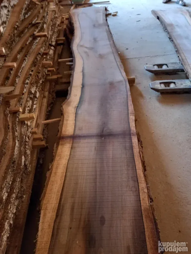 Orahove daske - KupujemProdajem