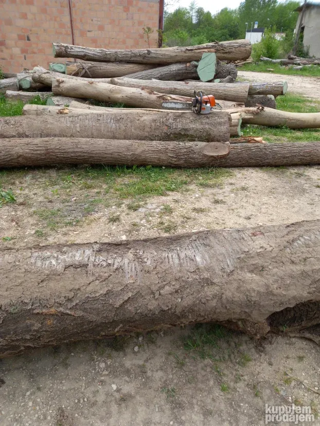 Orahove daske - KupujemProdajem