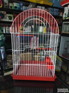 Ptice | Kavezi i oprema - KupujemProdajem