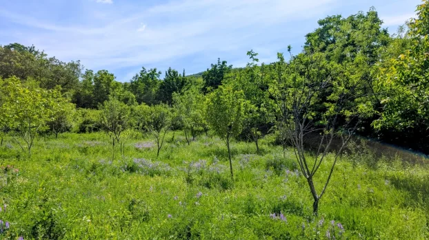 Plac i zemljište na prodaju - plac Fruška gora - KupujemProdajem