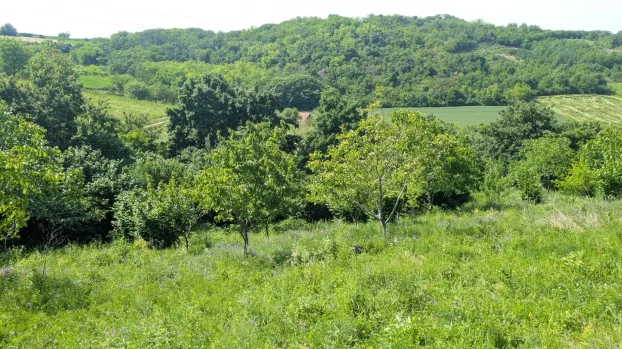 Plac i zemljište na prodaju - plac Fruška gora - KupujemProdajem