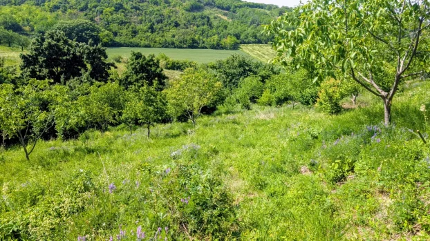 Plac i zemljište na prodaju - plac Fruška gora - KupujemProdajem