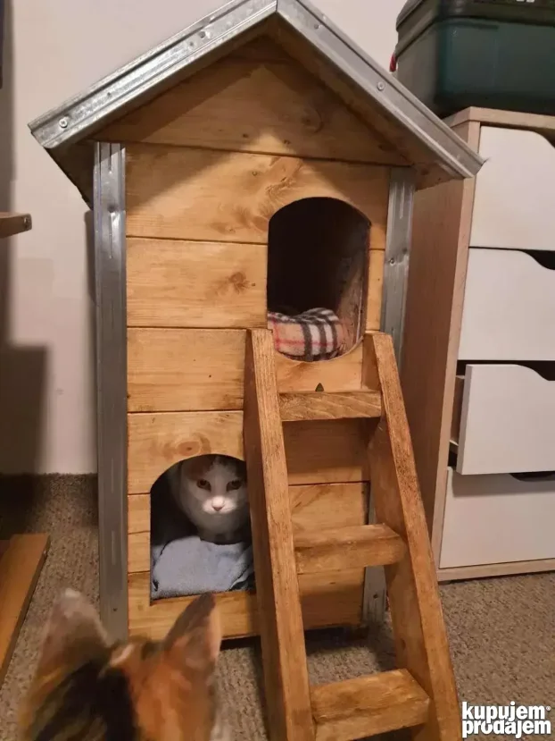 Kucice za macke - KupujemProdajem
