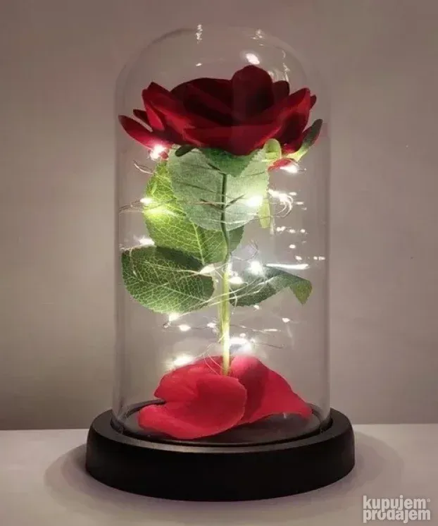 Vecna Ruza U Kupoli Svetleca Ruža Lepotica i Zver Lampa - KupujemProdajem